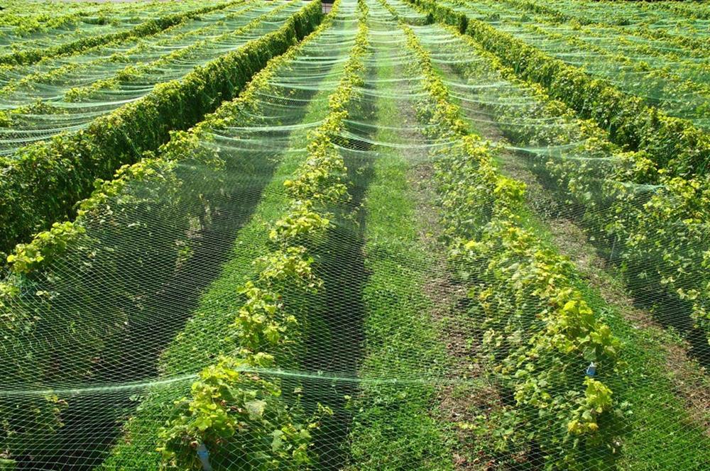 Aviary Netting — Redmond Supply